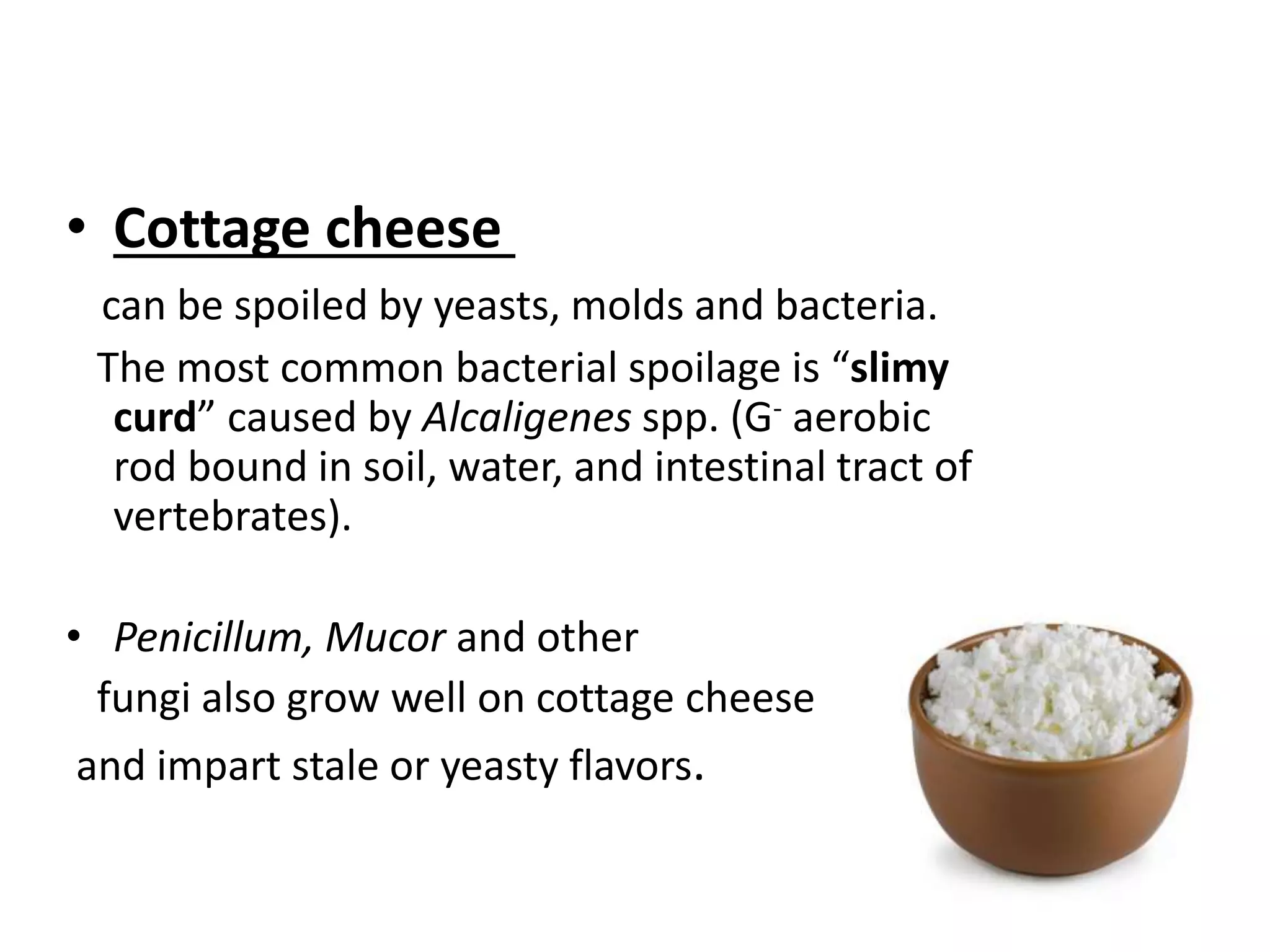 Food spoilage | PPTX