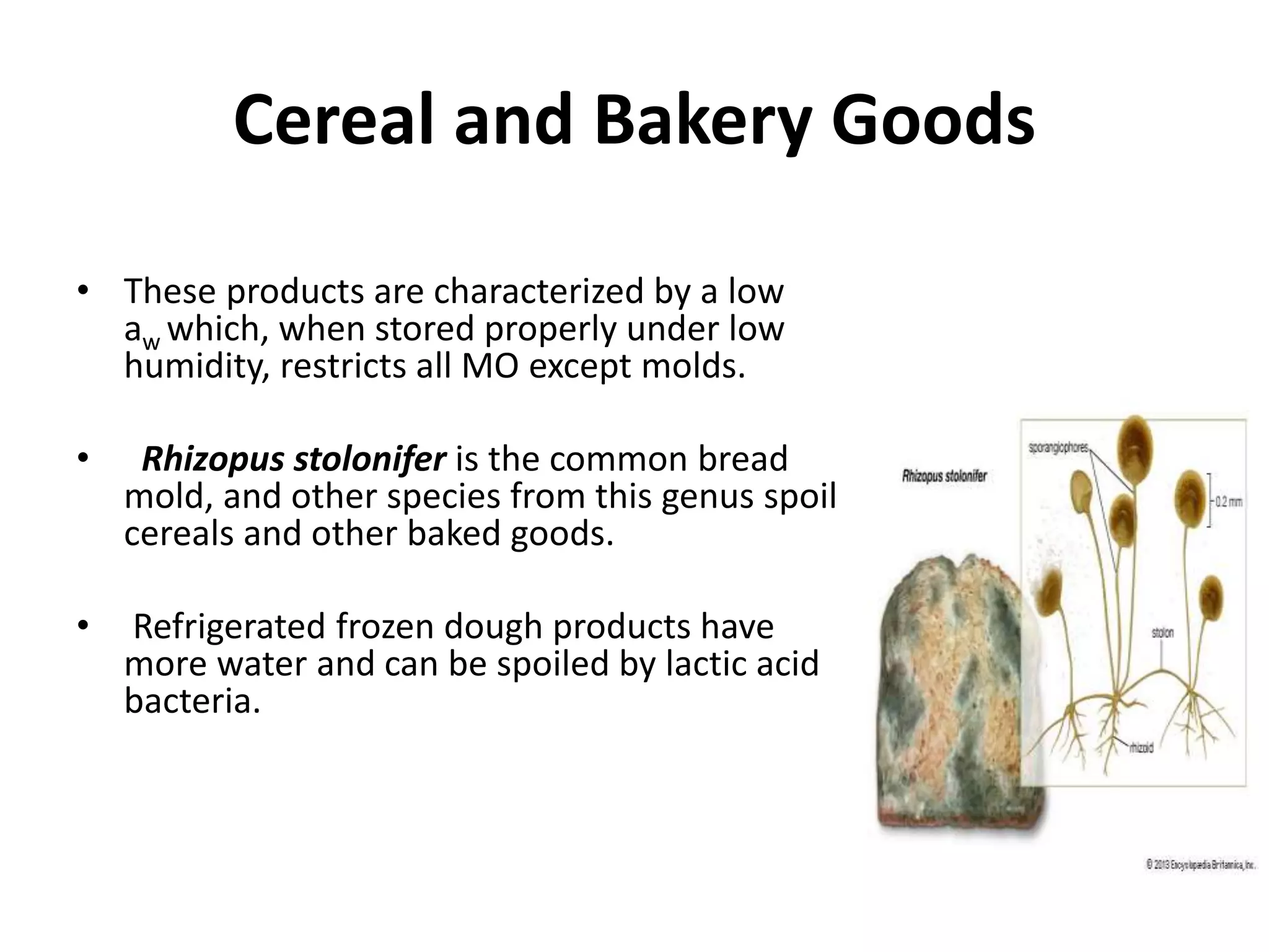 Food spoilage | PPTX