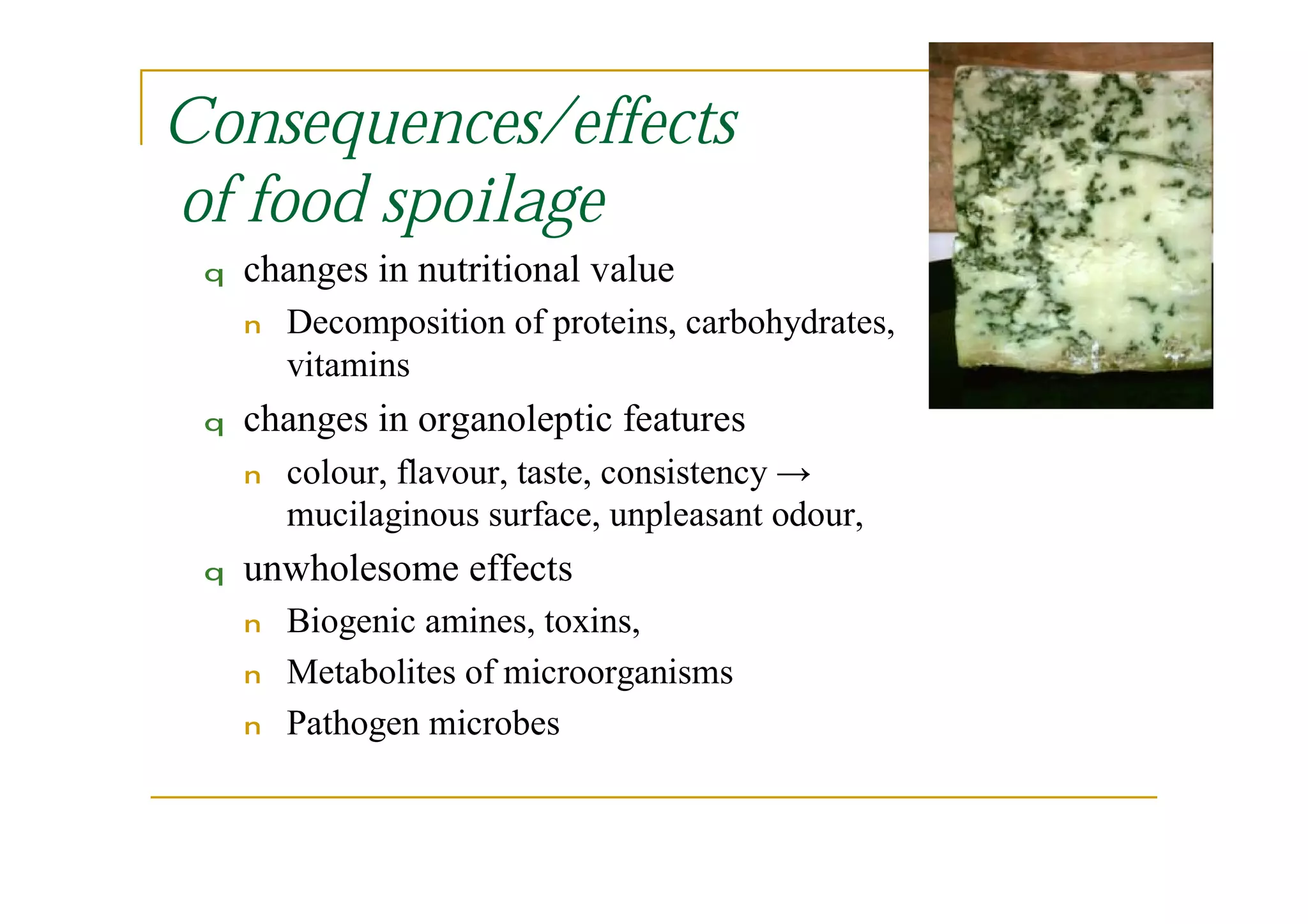 Food Spoilage | PDF