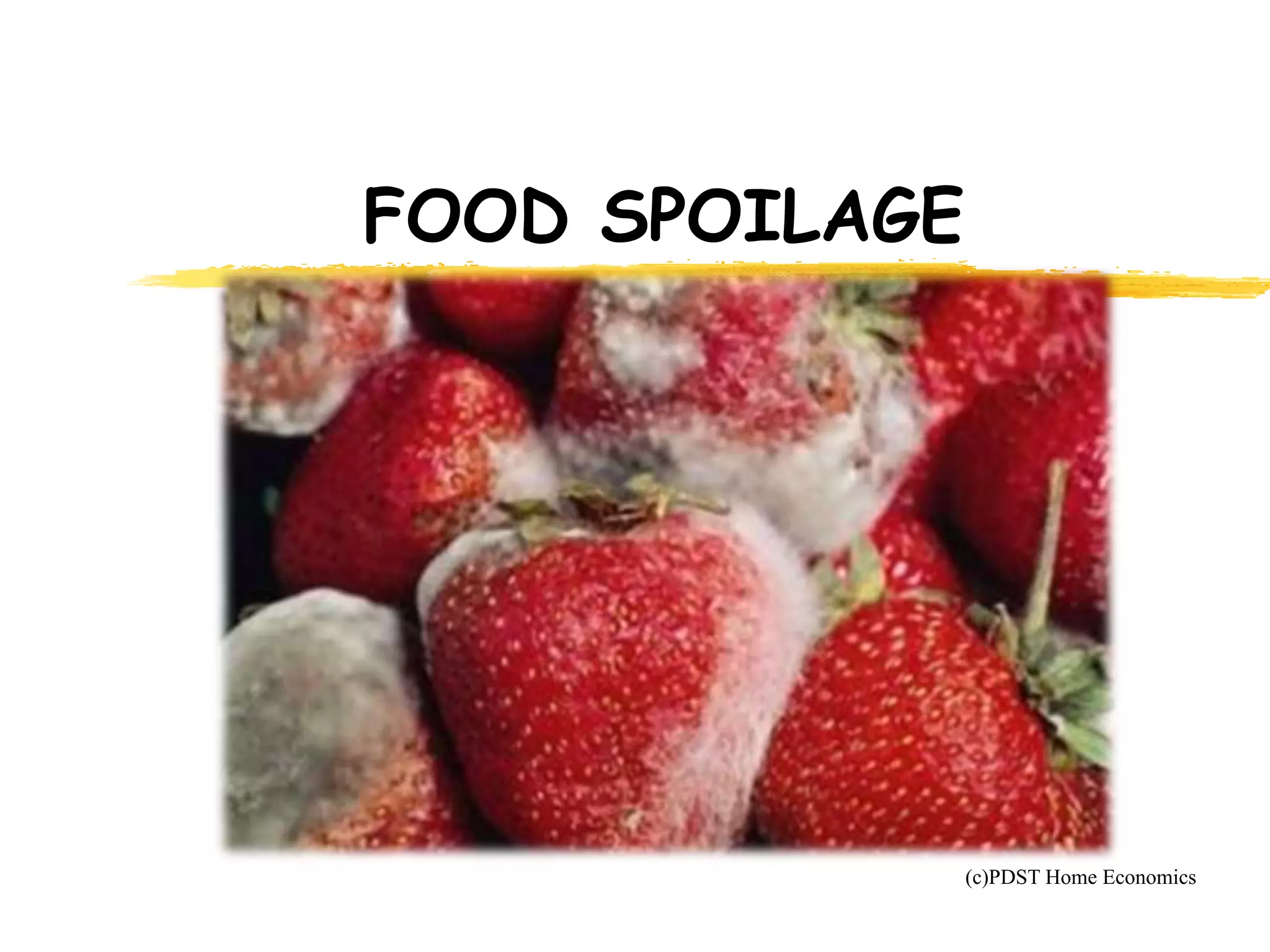 Food spoilage | PPT | Cooking | Food & Drink