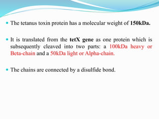 Food spoilage by Bacteria, fungi and protozoa | PPTX
