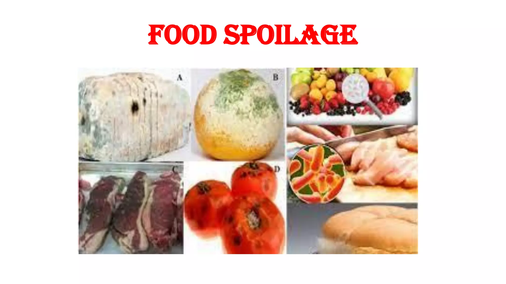 Food Spoilage | PDF