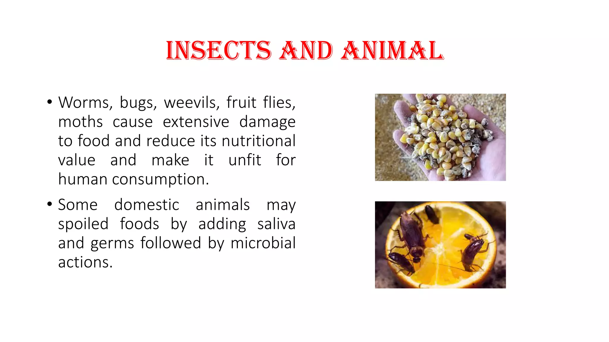 Food Spoilage | PDF