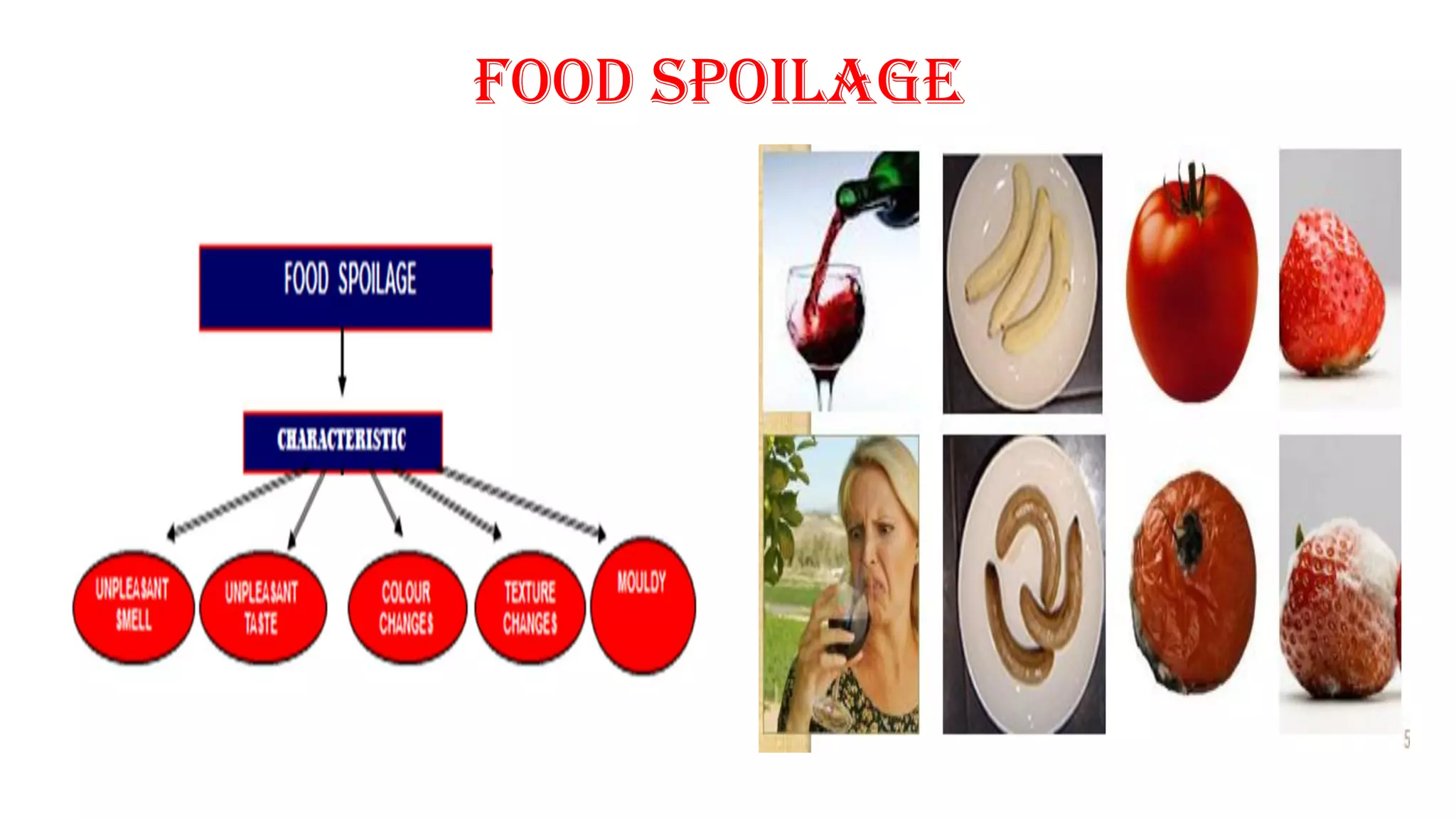 Food Spoilage | PDF
