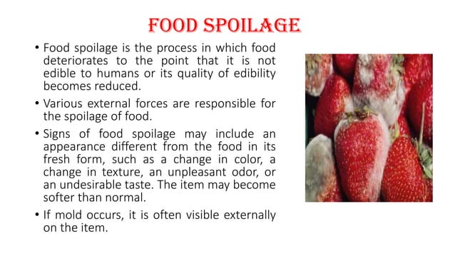 Food Spoilage | PDF | Food & Drink