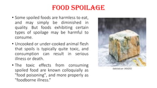 Food Spoilage | PDF | Food & Drink