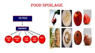 Food Spoilage | PDF | Food & Drink