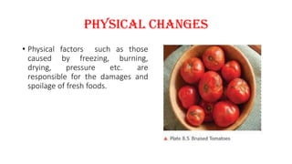 Food Spoilage | PDF | Food & Drink