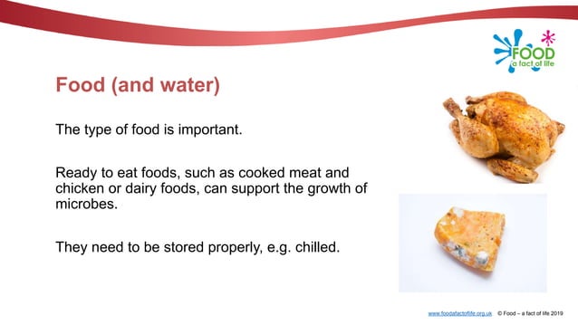 Food Spoilage and causes of food spoilage | PPT