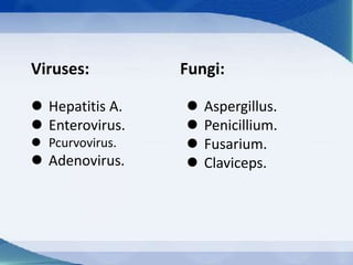 Food spoilage by bacteria slideshare ppts | PPT