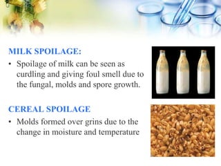 Food spoilage & food borne infection | PPTX