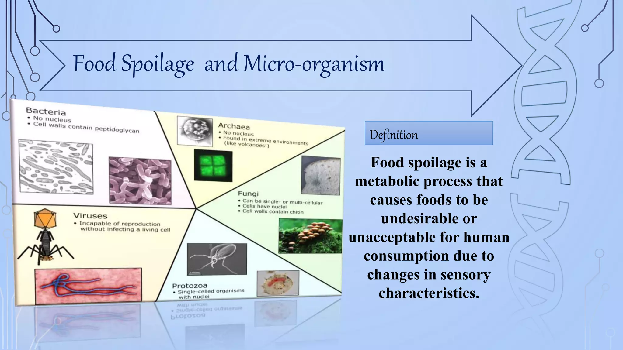 food spoilage ppt [Autosaved].pptx