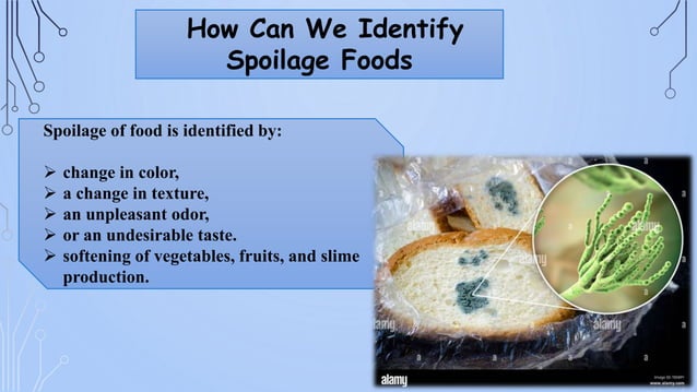 food spoilage ppt [Autosaved].pptx