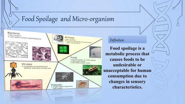 food spoilage ppt [Autosaved].pptx