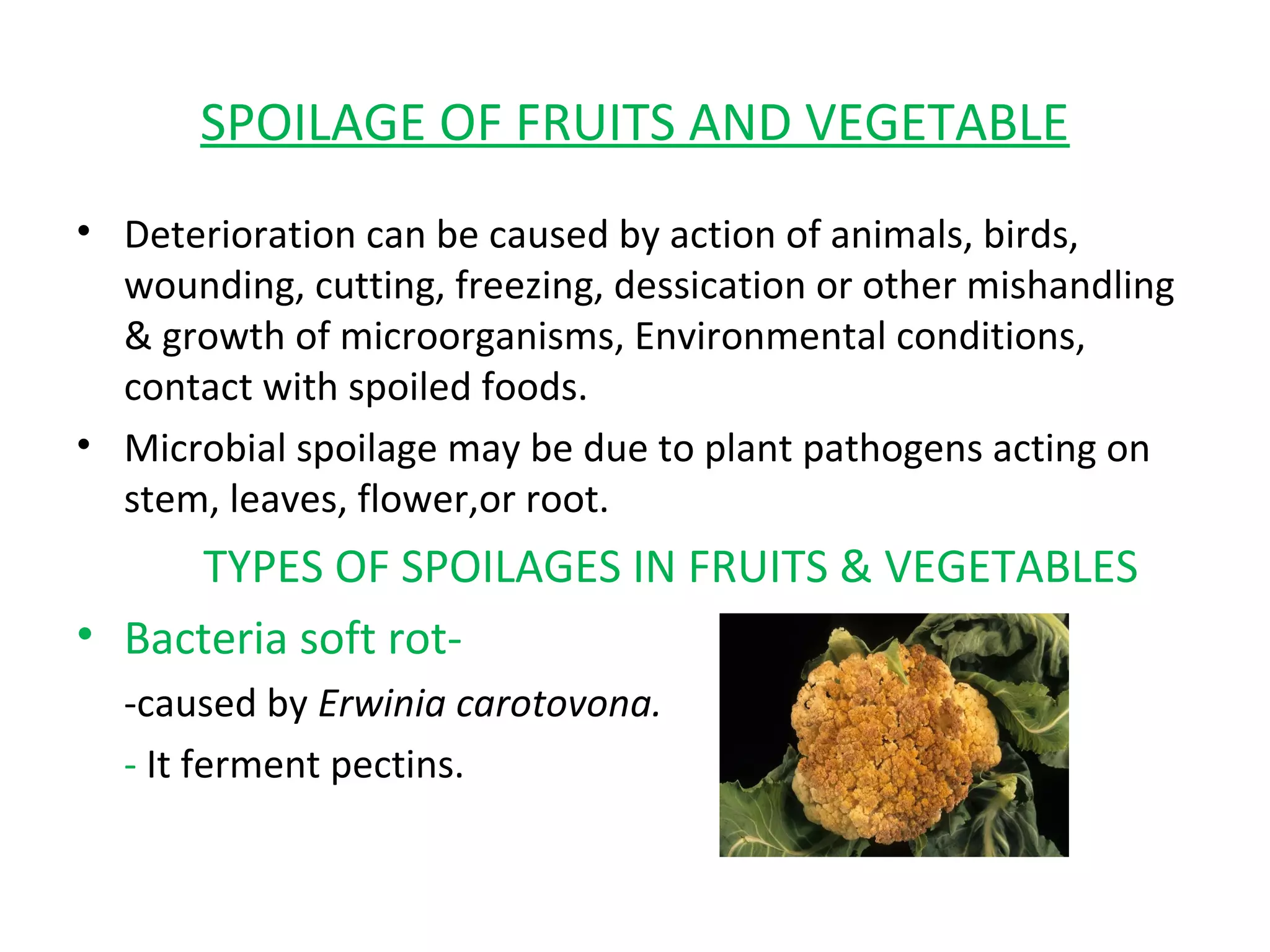Food spoilage ppt document | PPT