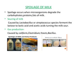 Food spoilage ppt document | PPT