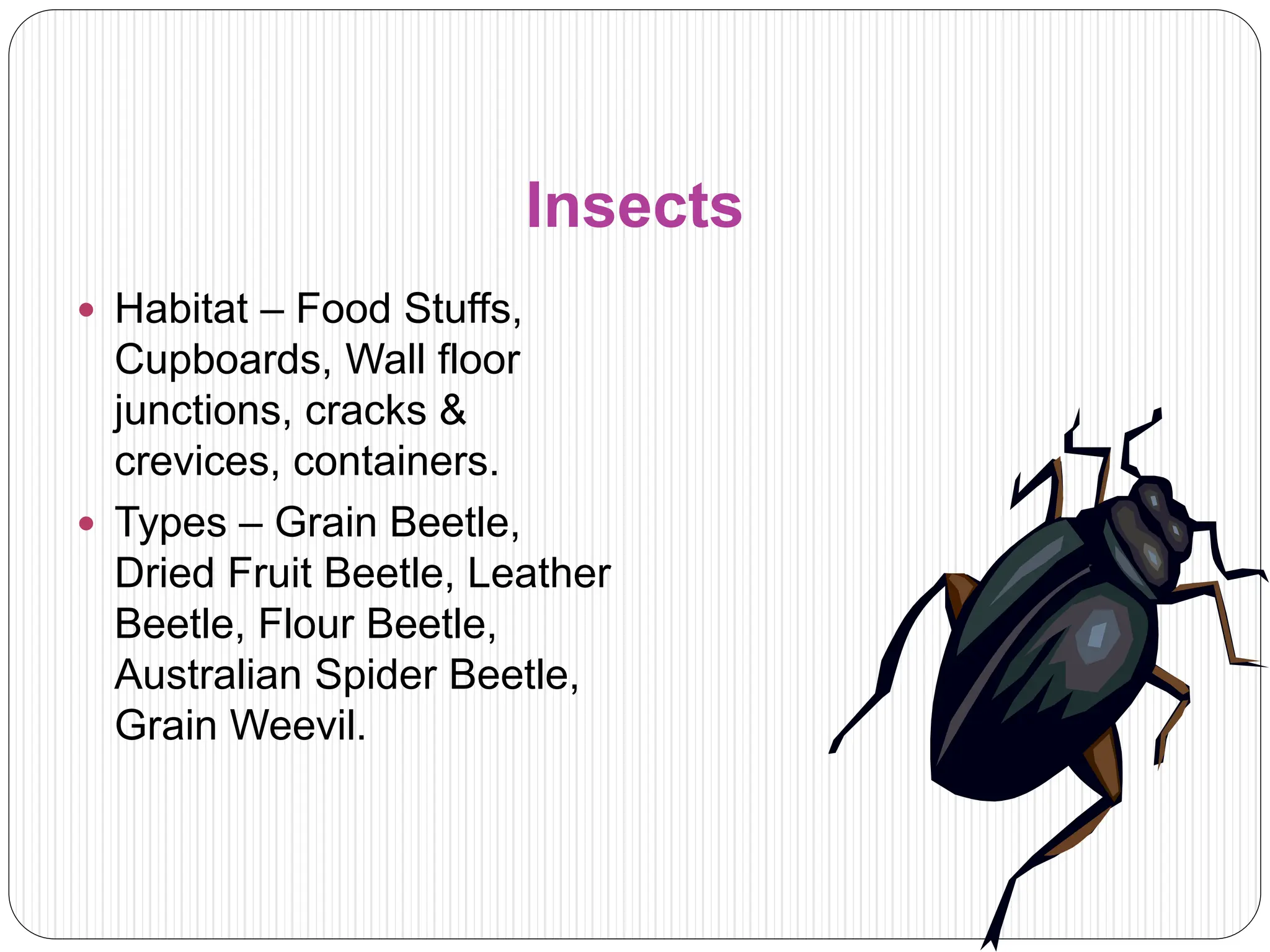 food spoilage Roddents Insects Birds.pptx
