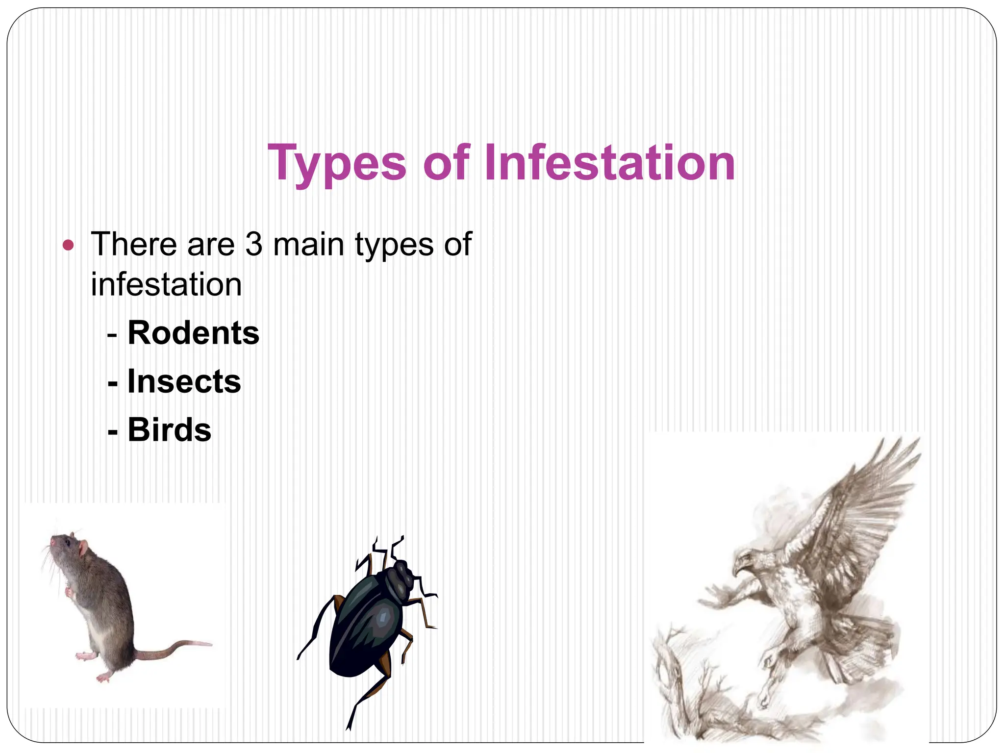 food spoilage Roddents Insects Birds.pptx