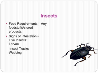 food spoilage Roddents Insects Birds.pptx