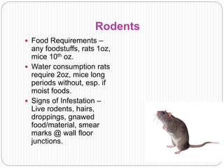 food spoilage Roddents Insects Birds.pptx