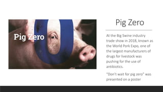 Antibiotics in Livestock feed: how it effects us | PPTX