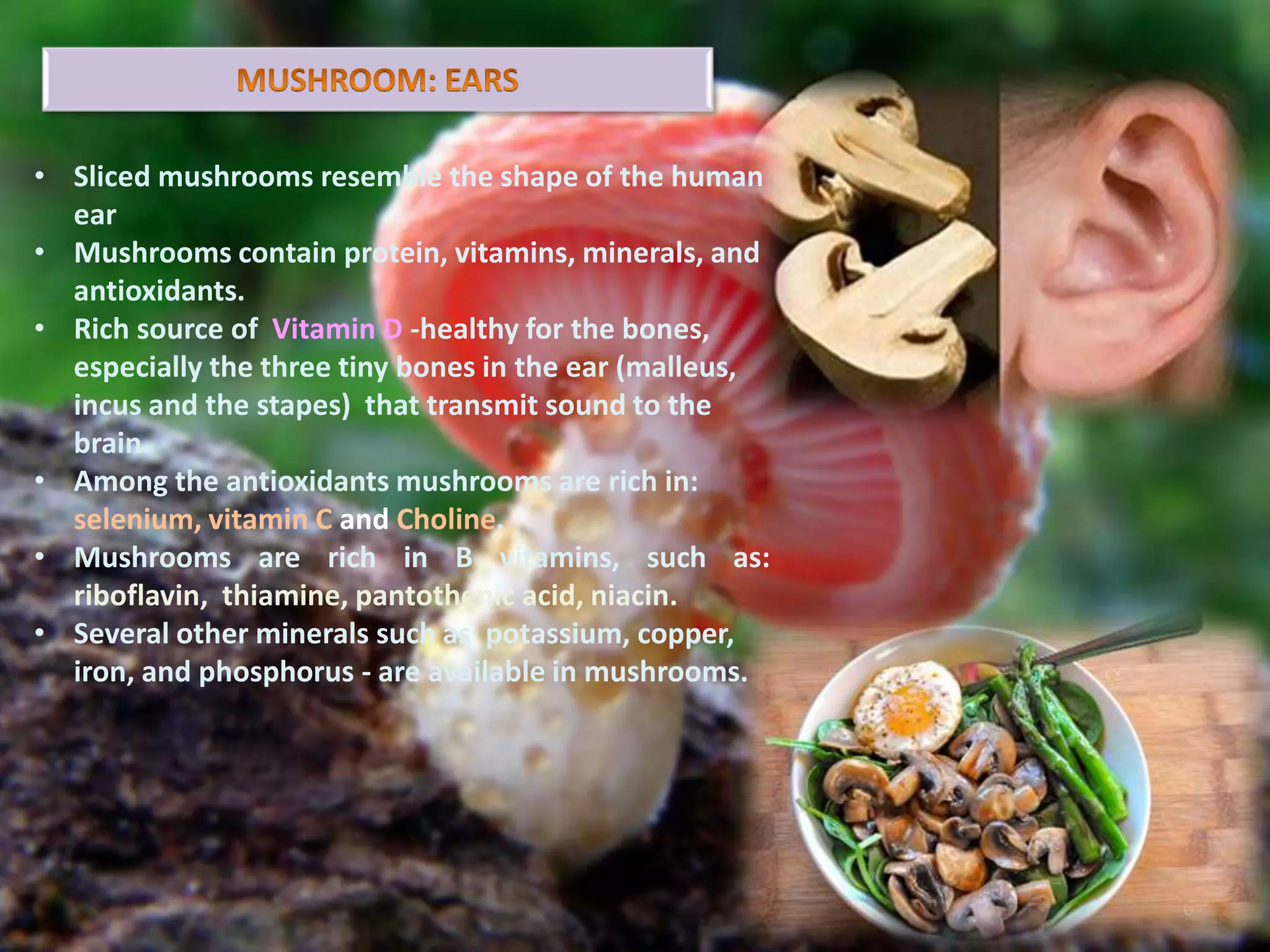 Foods Resembling Body Parts and their Associated Benefits | PPTX