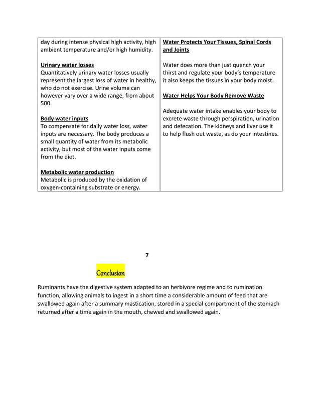 Foods SBA 2 (1).docx