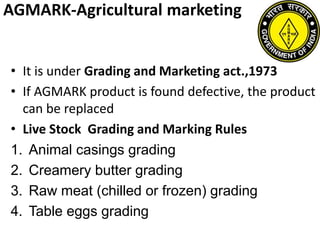 Food standards | PPTX