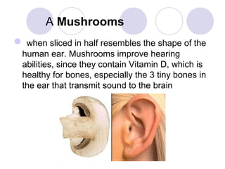 Foods That Look Like Body Parts They’re Good For | PPT | Pregnancy ...