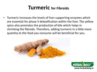 Foods to Eat & Avoid in Fibroids | PPT