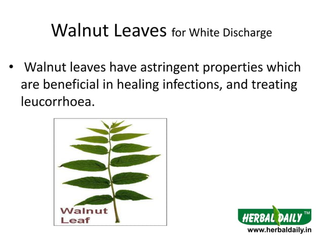 Foods to Eat in White Discharge | PPTX | Herbs and Supplements ...