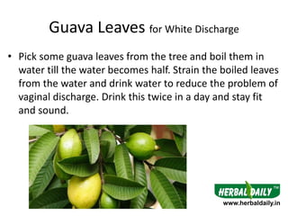 Foods to Eat in White Discharge | PPTX