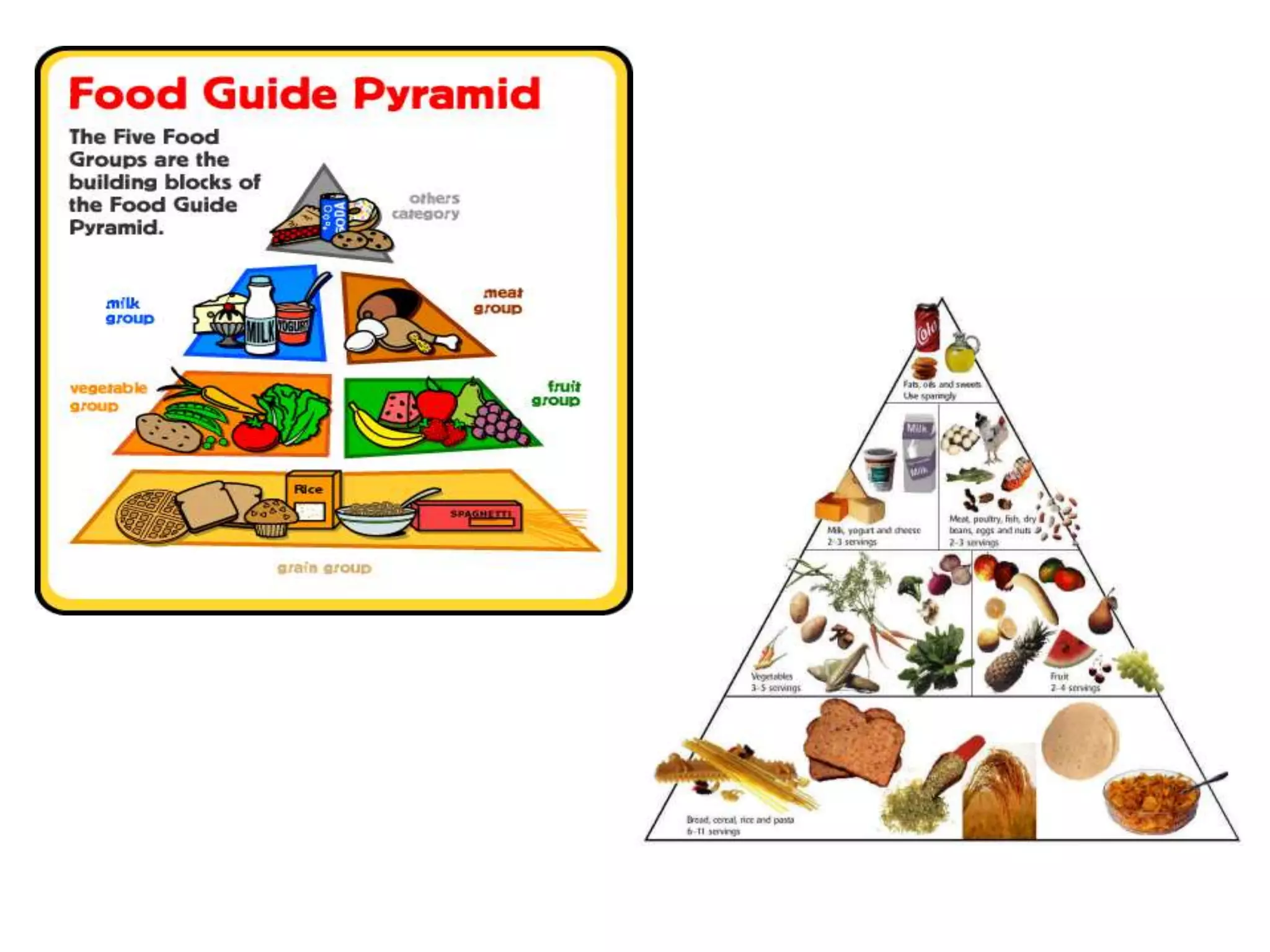 Food Structures | PPTX
