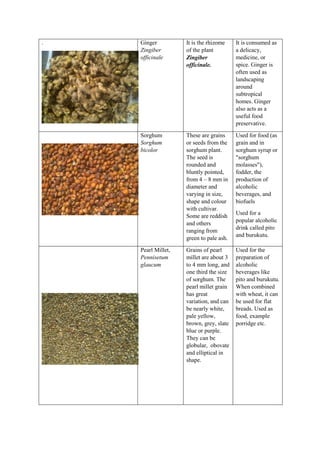 Food stuffs in ghan1 | PDF