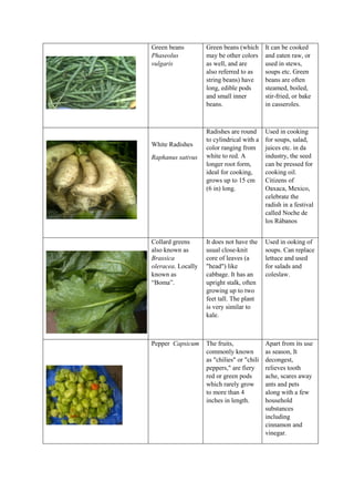 Food stuffs in ghan1 | PDF