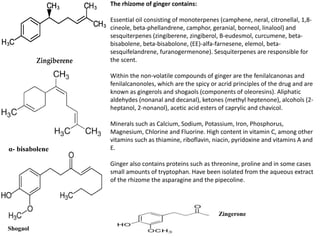 Food suppliment, AYTEN SHUKUROVA, | PPT