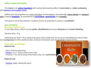 Food suppliment, AYTEN SHUKUROVA, | PPT