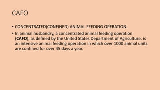 Industrial to Sustainable Food | PPTX