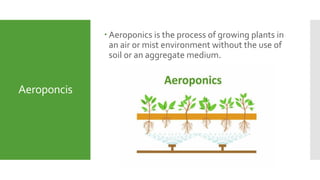 Food Technology by dr islam salama | PPT