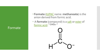 Food Technology by dr islam salama | PDF