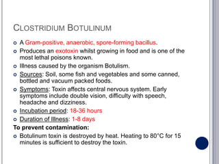 Food Technology Bacteria | PPTX