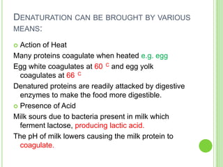 Food Technology Proteins | PPTX