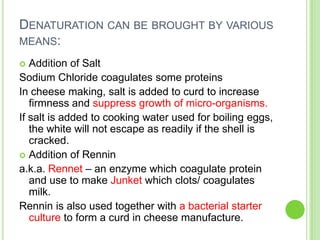 Food Technology Proteins | PPTX