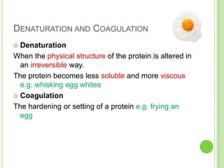 Food Technology Proteins | PPTX