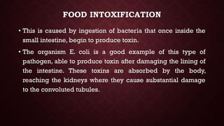 FOOD TECHNOLOGY SLIDE.pdf
