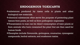 FOOD TECHNOLOGY SLIDE.pdf