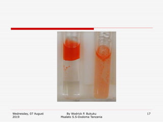 Food test practical notes | PPTX