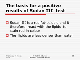 Food test practical notes | PPTX