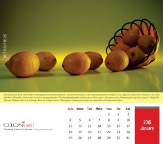 Food the best medicine calendar celon labs | PDF