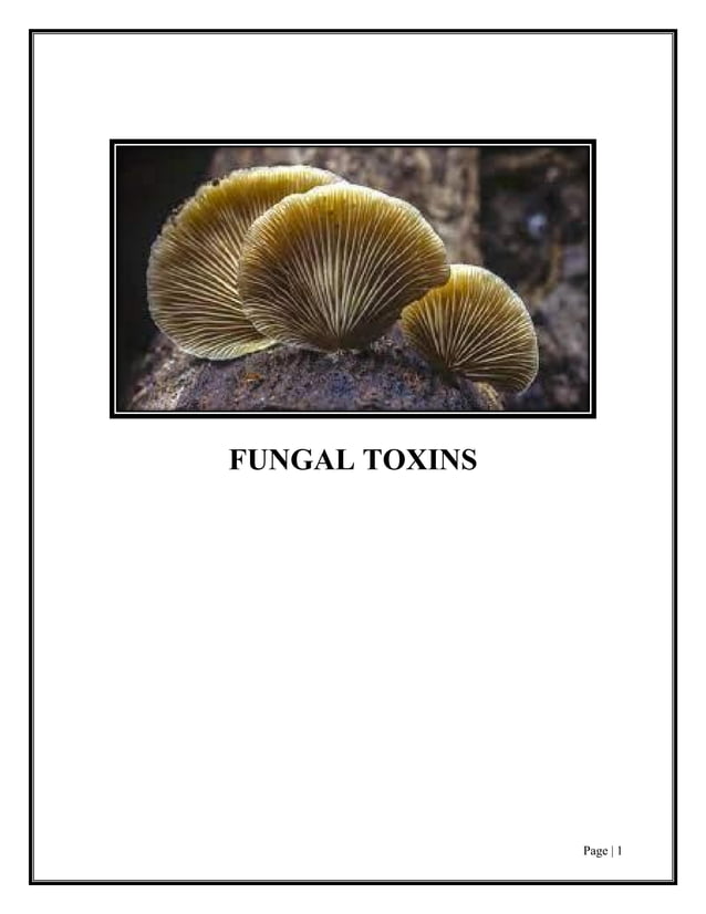 FOOD toxicology, FUNGAL TOXINS, GROUPS OF MYCOTOXINS etc. | PDF